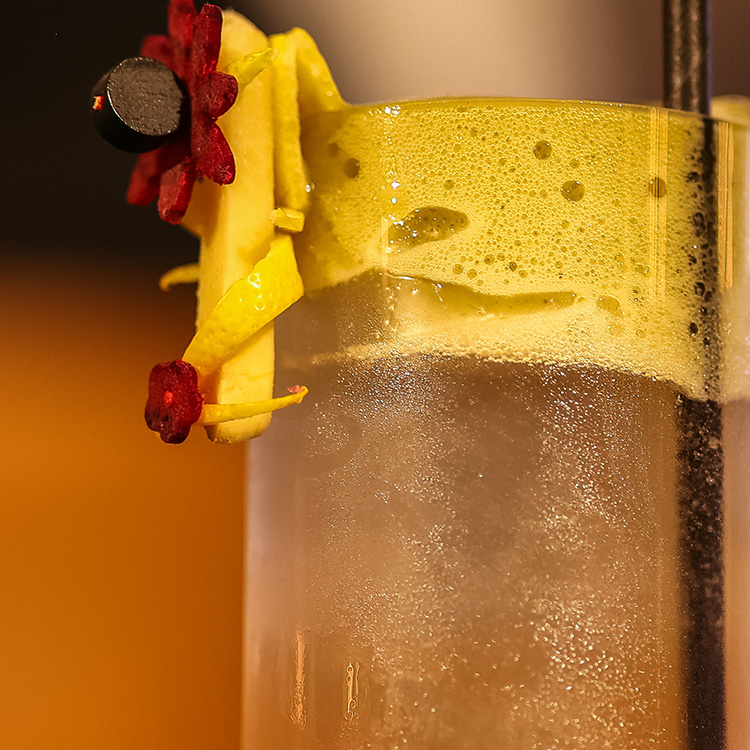 Bartender Mixology Session