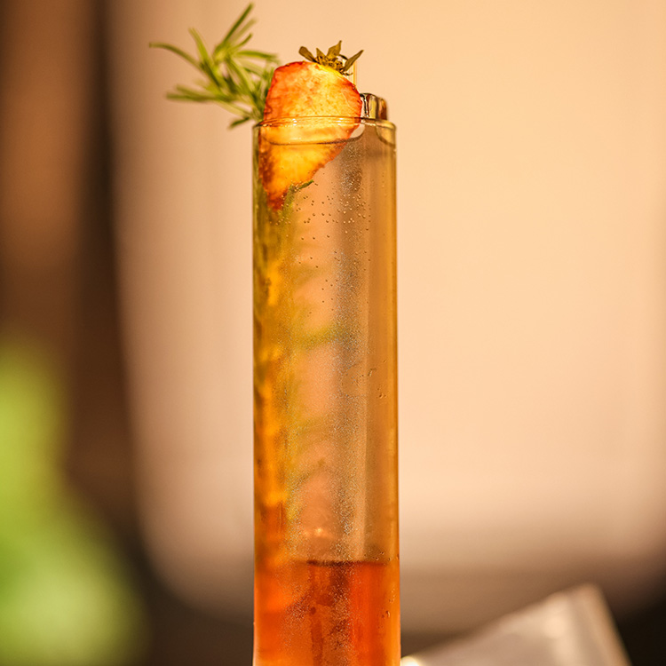 Bartender Mixology Session